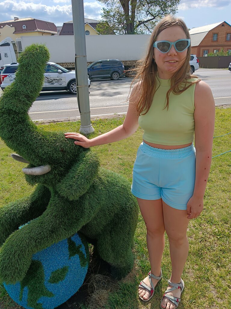 Park, sokak heykeli Слон, Luhovitsy, foto