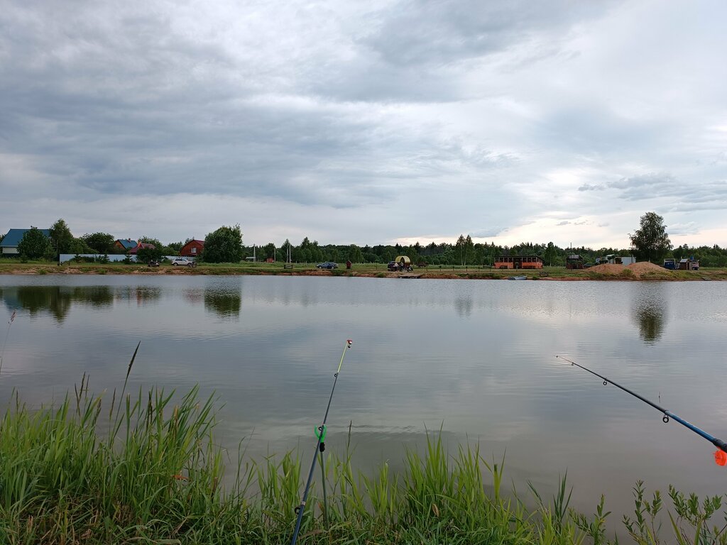 Kanatlı hayvan ürünleri ve yumurta Кфх Волкуша, Moskova ve Moskovskaya oblastı, foto