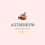 Altinkum (Ilyushina Street No:1к2), oto lastik tamiri  Saint‑Petersburg'dan