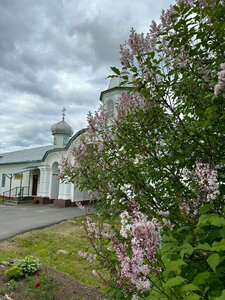 Смотровая площадка (Archangel Region, Koryazhma), seyir terası  Koriajma'dan