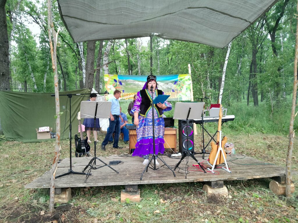 Kültür ve eğlence parkları лес Кошурман, Orenburgskaya oblastı, foto