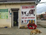 Зоомагазин (Andreyevskaya ulitsa No:41, Karasunskiy City administrative district, zhiloy rayon Novoznamenskiy), petshop  Krasnodar'dan