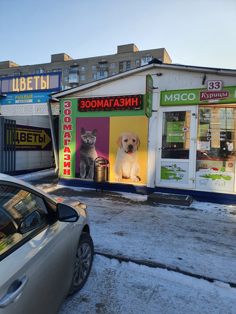 Petshop Зоомагазин, Şahty, foto