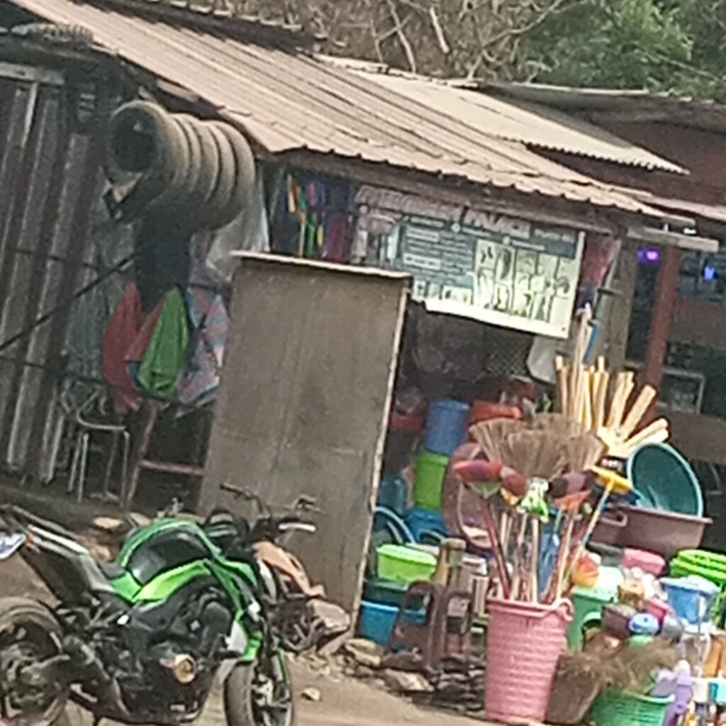 Market Evergreen palace, Dünya, foto