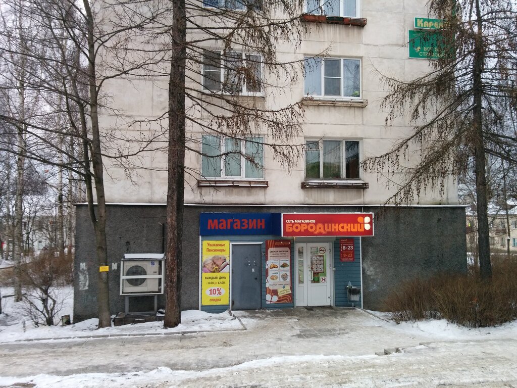 Süpermarket Бородинский, Petrozavodsk, foto