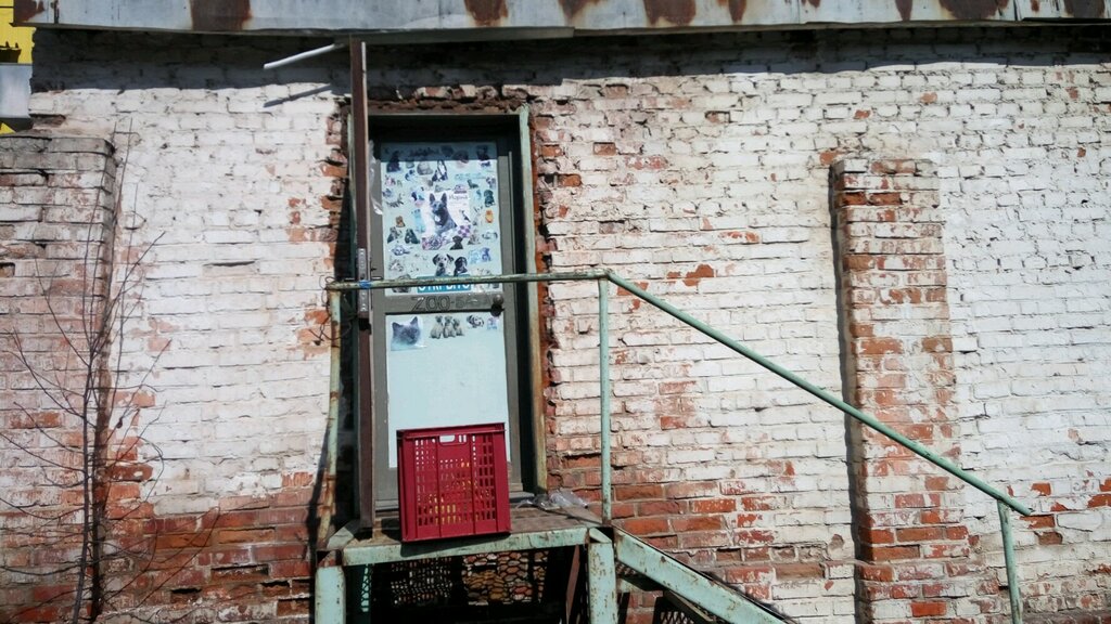 Petshop Zoobaza, Ip Denisov V. V., Tula, foto
