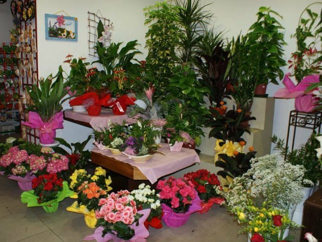 Çiçek teslimatı Fioreria Martin, Friuli‑Venezia Giulia, foto