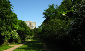 Snopkivskyi park (Lviv, Snopkivskyi park), kültür ve eğlence parkları  Lviv'den