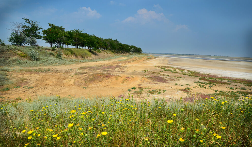 Kültür ve eğlence parkları Tuzly Lagoons National Nature Park, Odessa Bölgesi, foto