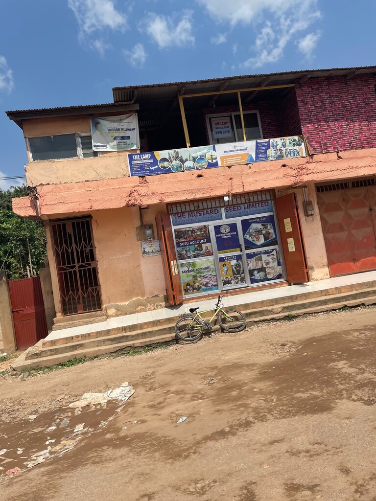 Bahçecilik mağazaları The Mustard Seed Limited, Dünya, foto