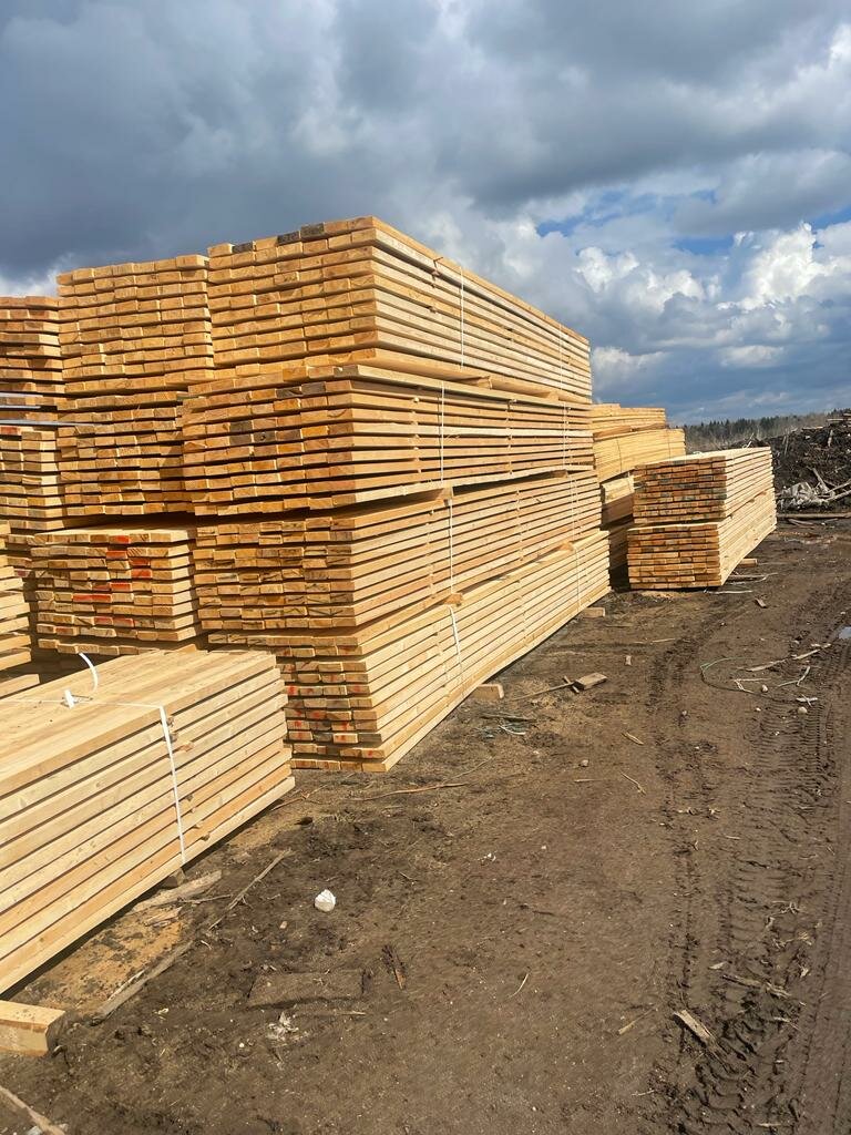 Kereste üretim ve satış şirketleri PilMat, Saint‑Petersburg ve Leningradskaya oblastı, foto