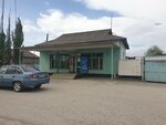 Food Store (Bedilbaev street No:42), market  Taraz'dan
