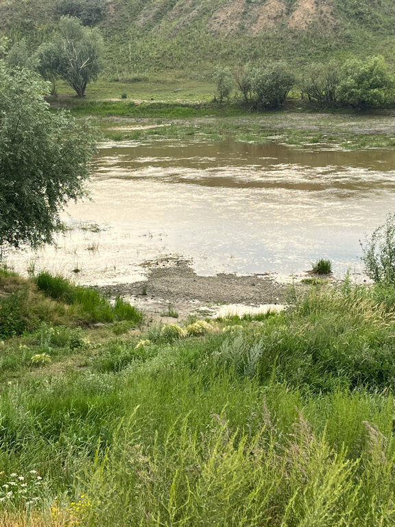 Plaj Пляж, Omskaya oblastı, foto