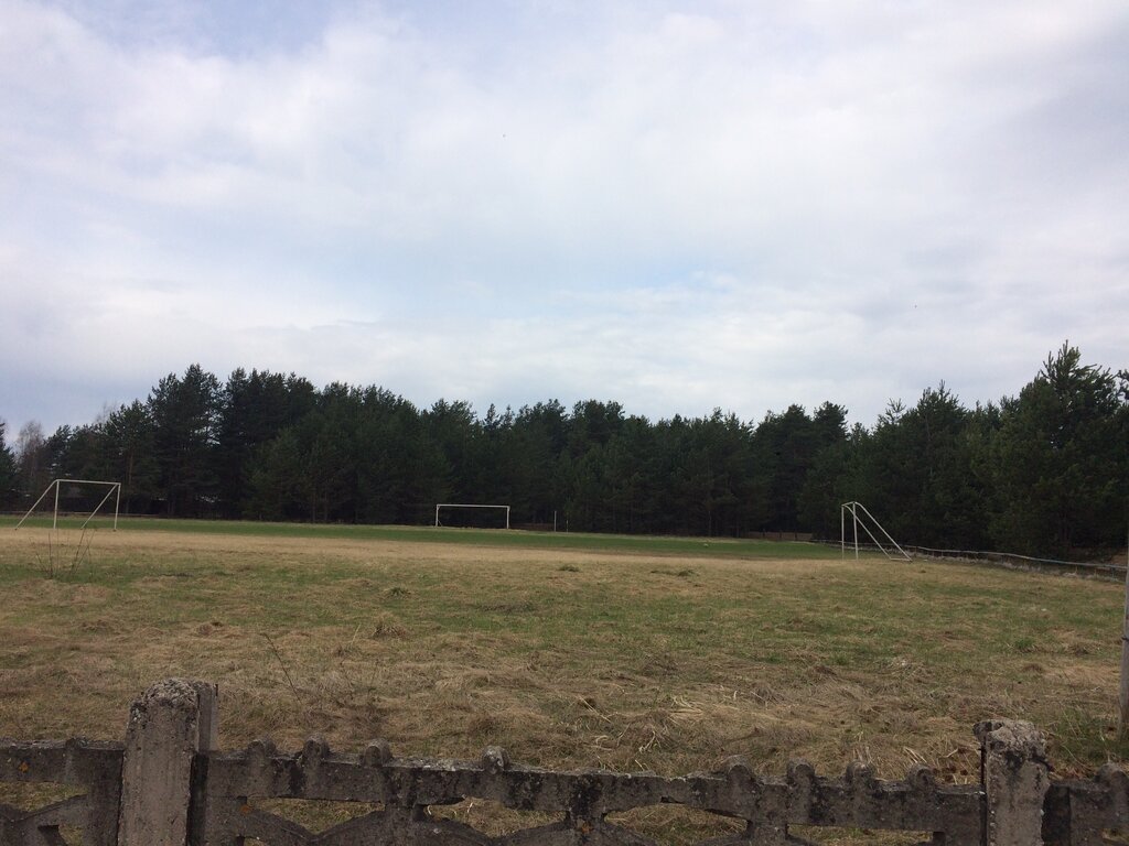 Stadyum Локомотив, Novgorodskaya oblastı, foto