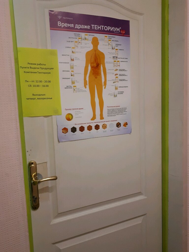 Teslimat noktası Тенториум ПВП, Moskova, foto