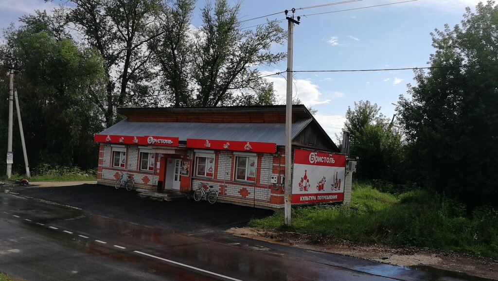 Alkollü içecekler Bristol', Riazanskaya oblastı, foto