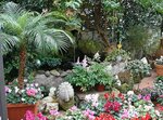 Arredamenti Floreali Musetti (Via Donatello No:24, Pietrasanta, Lido di Camaiore), çiçek teslimatı  Toskana'dan