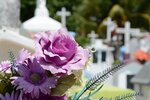 Friedhofsdienstleistungen Harald Hentschel (Bavaria, bundesstadt Fürth), çiçek teslimatı  Furth'tan
