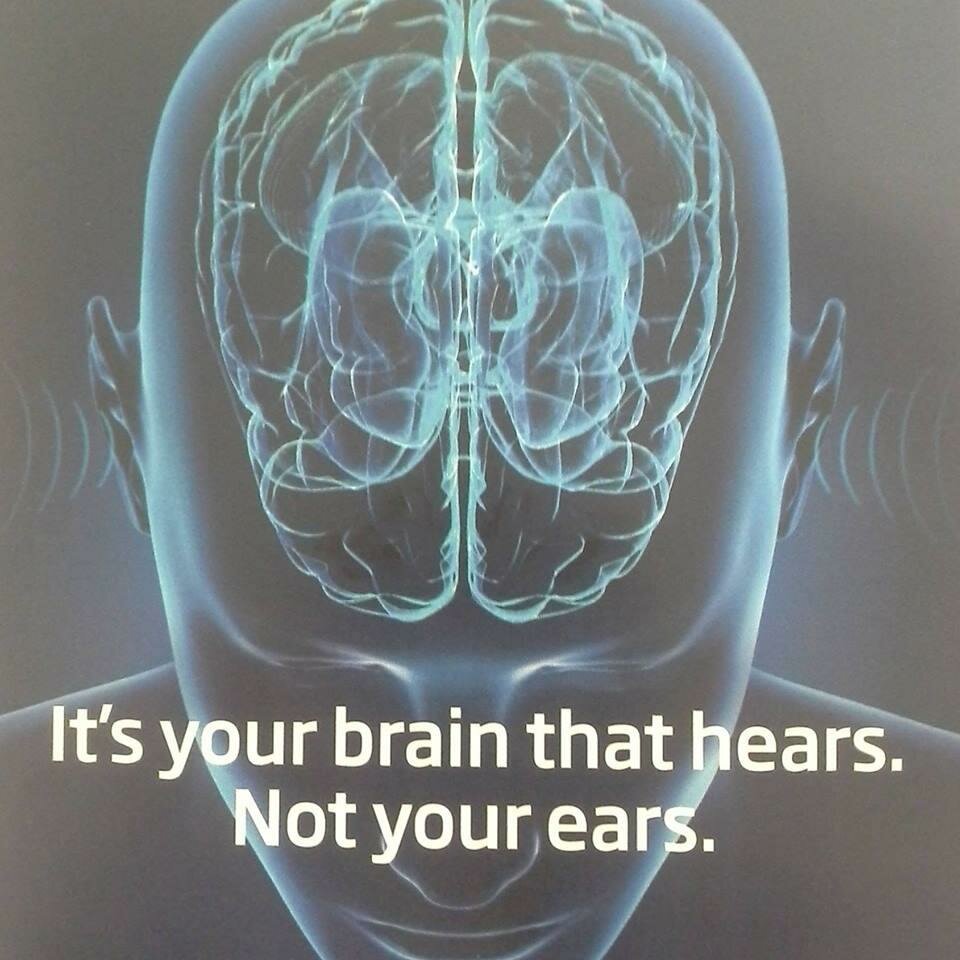 i̇şitme cihazları Shea Hearing Aid Center, Brentwood, foto