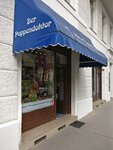 Der Puppendoktor (Stubenring No:16, Wien), çocuk oyunları ve oyuncakları  Viyana'dan
