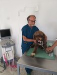 Ambulatorio Veterinario Vetland (Via Cicerone No:31, Matera), veteriner materyalleri ve ekipmanları  Matera'dan