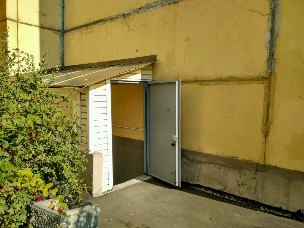 Bina, site yönetimi Ruchi, Saint‑Petersburg, foto