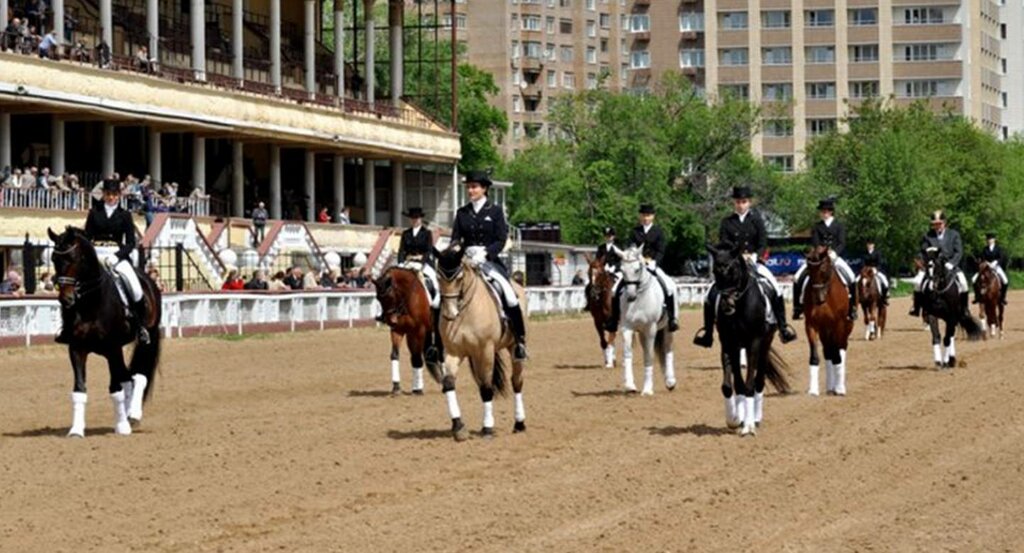 At ve binicilik kulüpleri Equestrian school of Marina Vorobyova, Moskova, foto