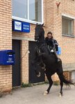Ekspress-kuryer (Salmyshskaya street No:38), kurye hizmetleri  Orenburg'dan