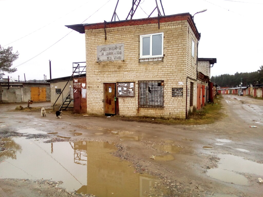 Garajlar Лесной-2, Kaluga, foto