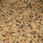 Vereshchaginsky kombinat khleboproduktov (ulitsa Karla Marksa No:81), tahıl firmaları  Vereşçagino'dan