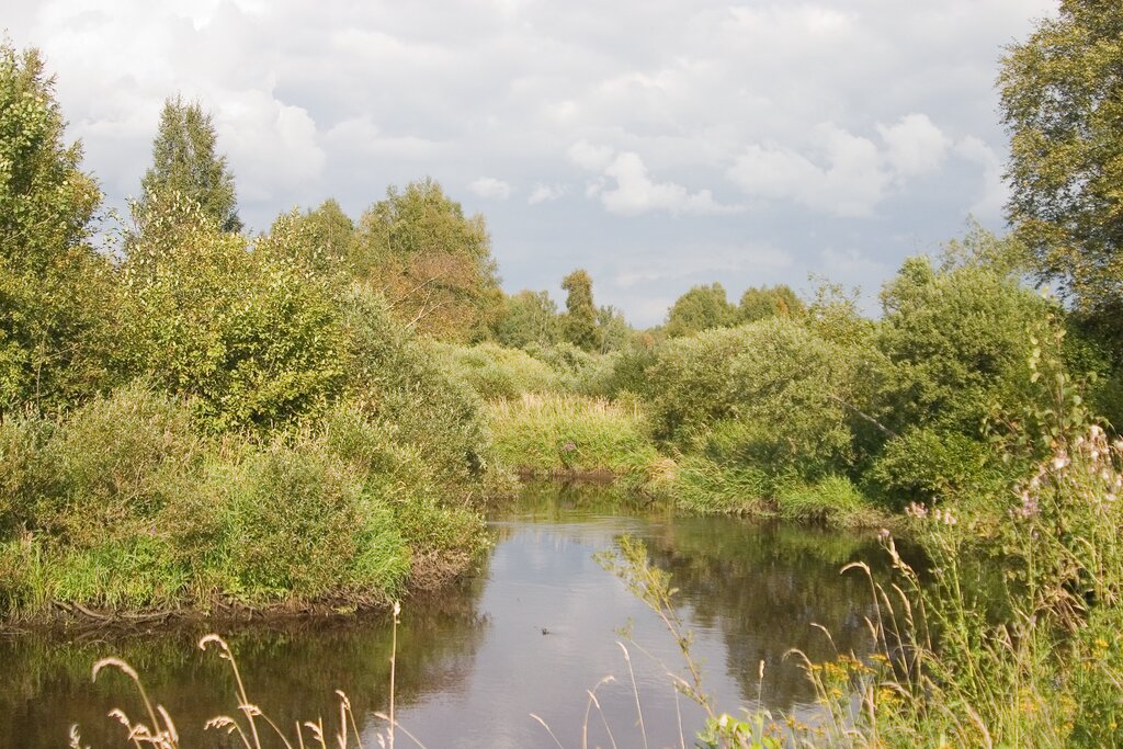 Doğa koruma alanı Государственный природный заказник Левашовский, Sestroretsk, foto