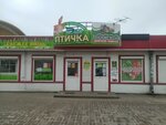 Эко птичка (vulica Karpoviča No:20), kanatlı hayvan ürünleri ve yumurta  Gomel'den