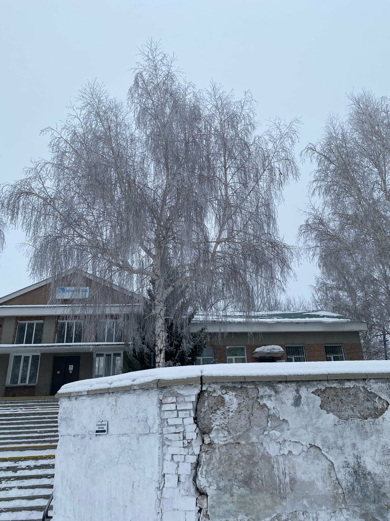 Tren istasyonu Ertis Zauyty Station, Doğu Kazakistan eyaleti, foto