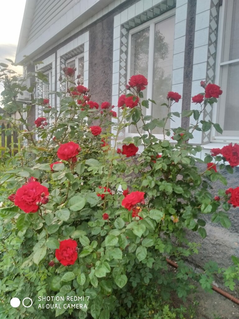 Otel Отдых у Полины, Anapa, foto