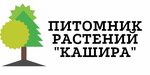 Дача (Moscow Region, Kashira Urban District), fidan yetiştiriciliği  Moskova ve Moskovskaya oblastından