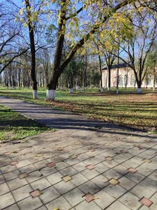 Центральный парк (Krasnodar Territory, Gulkevichskiy rayon, selo Sokolovskoye, Tsentralny park), kültür ve eğlence parkları  Krasnodarski krayından