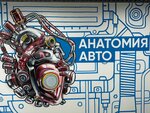 Autozapchasti Anatomiya Auto (ulitsa Peshekhonova No:11А), otomobil yedek parçaları  Naro‑Fominsk'ten