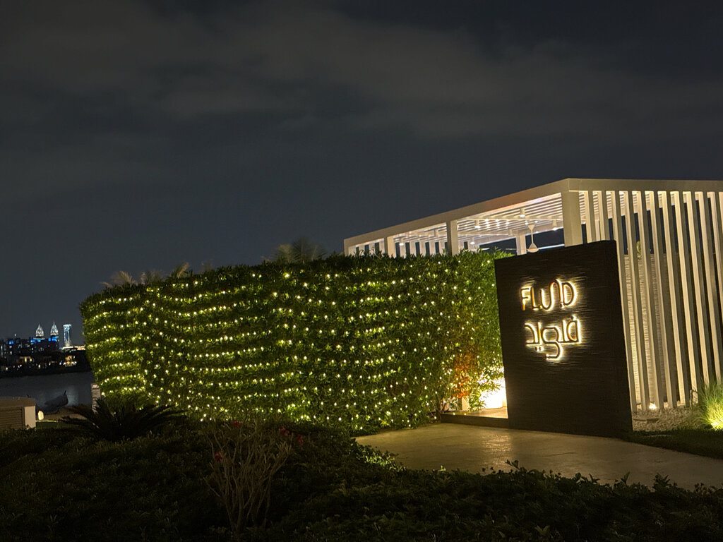 Fluid Beach Club, music club, Th8 Palm, Palm Jumeirah, Jumeirah, Dubai ...