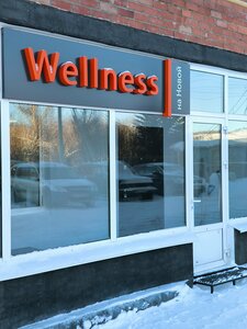 Fitness kulüpleri Wellness on Novaya, Uçaly, foto