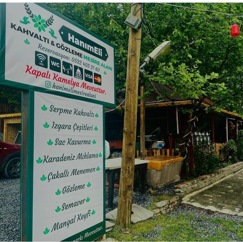 Piknik alanı Hanımeli Mesire Alanı, İstanbul, foto