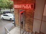 Рыбный магазин (Kosta Avenue No:223), balık ve deniz ürünleri  Vladikavkaz'dan