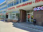 Оптика (Kosmonavtov Street No:с37Б), optik  Lipetsk'ten