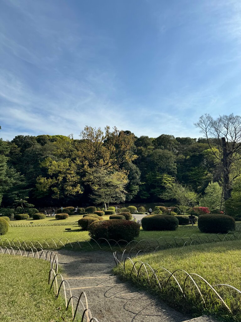 Kültür ve eğlence parkları Meiji Shrine Inner Garden, Tokyo, foto