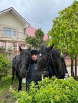 Конный клуб № 1 (ulitsa Lva Lebedinskogo No:22, Nagaevo Village), at ve binicilik kulüpleri  Ufa'dan