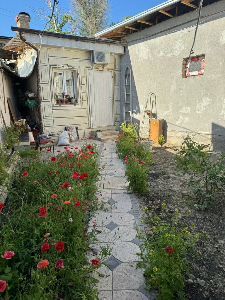 Masaj salonları Massage at UzBUM, Taşkent, foto