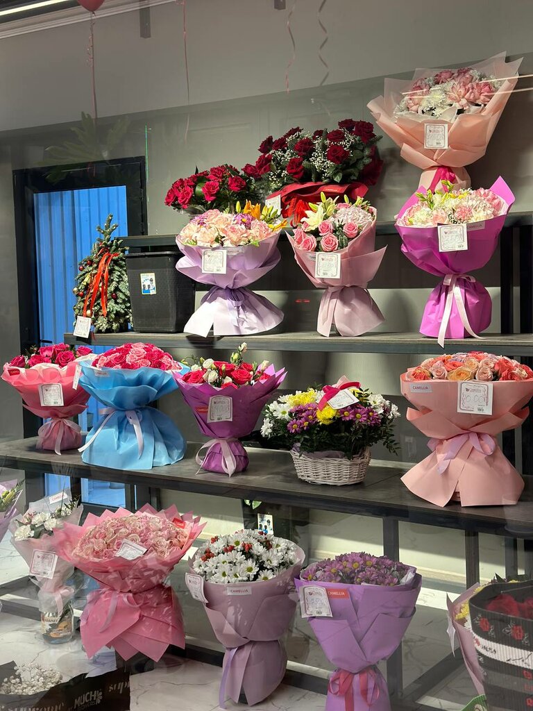 Çiçekçiler Camellia, Kızılorda, foto