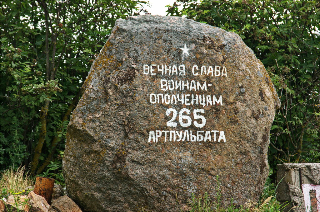Anıt, heykel Бойцам 265-го ОПАБ, Saint‑Petersburg ve Leningradskaya oblastı, foto