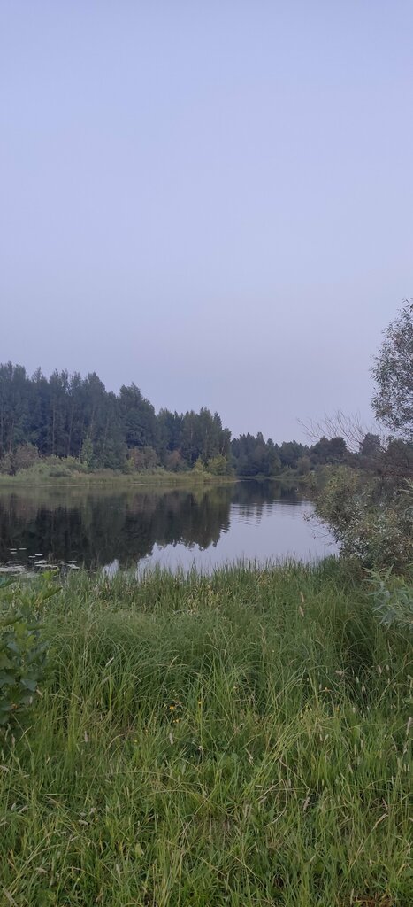 Plaj Пляж, Kirovskaya oblastı, foto