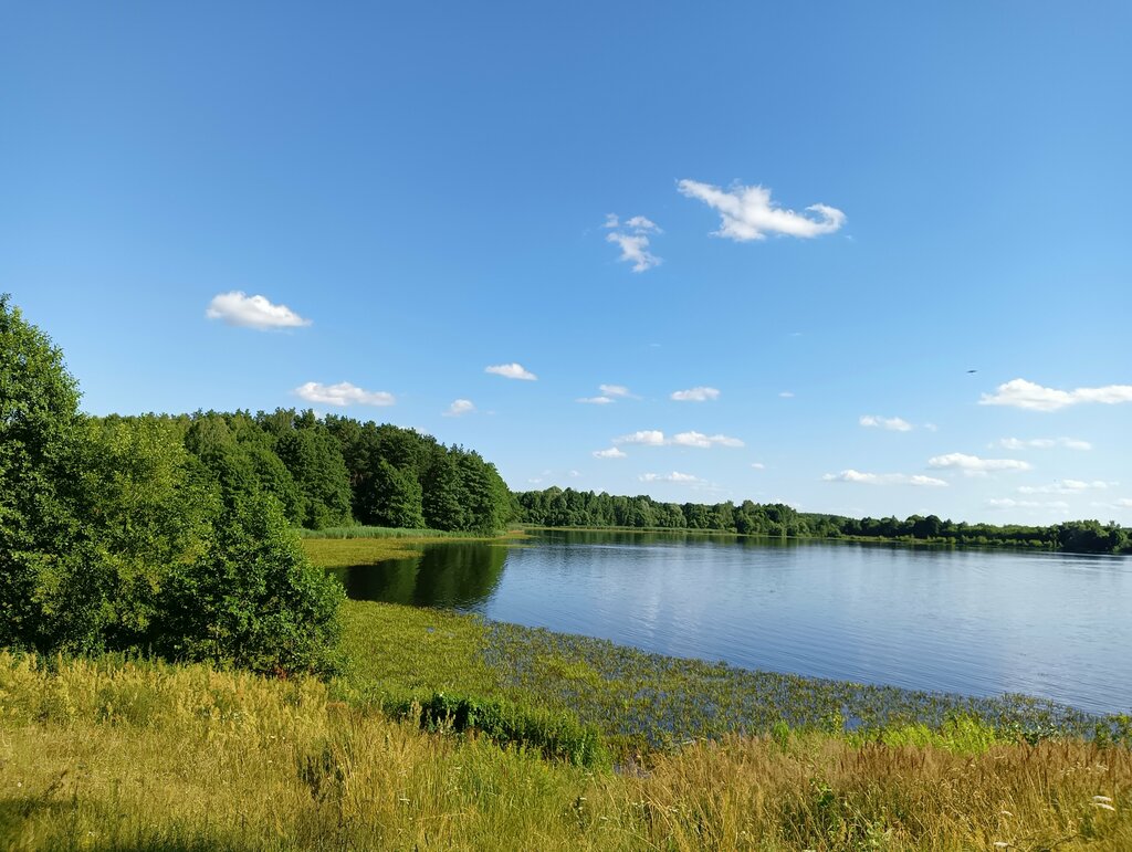 Plaj Пляж, Brianskaya oblastı, foto