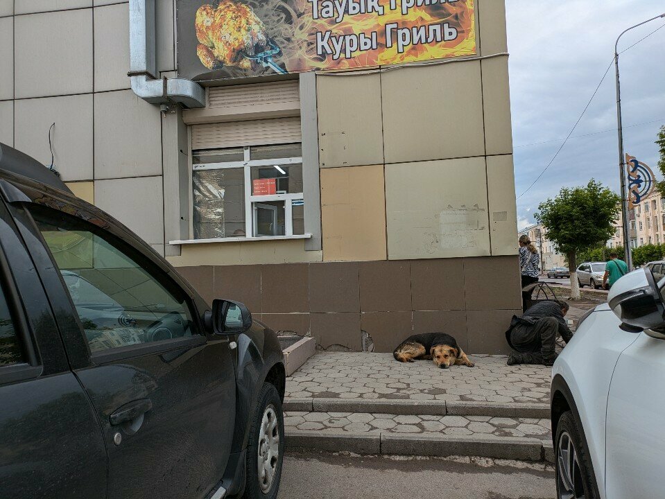 Fast food Grilled chickens, Temirtav, foto